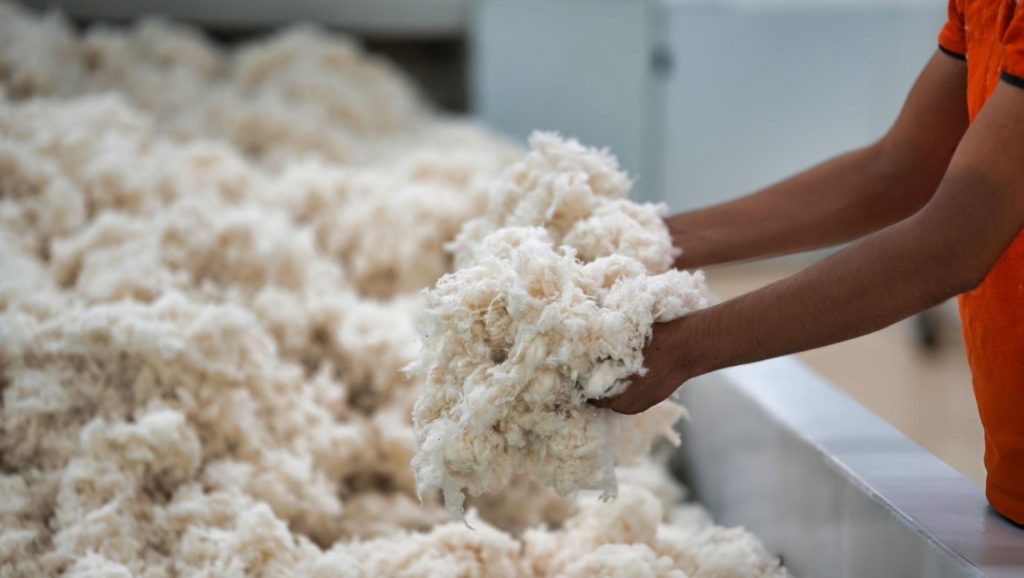 Sustainable Textiles: The Future of Eco-Friendly Fabric Production ...